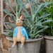 Peter Rabbit Pot Buddy Pot Hanger Beatrix Potter Gift Boxed Pot Buddies ...