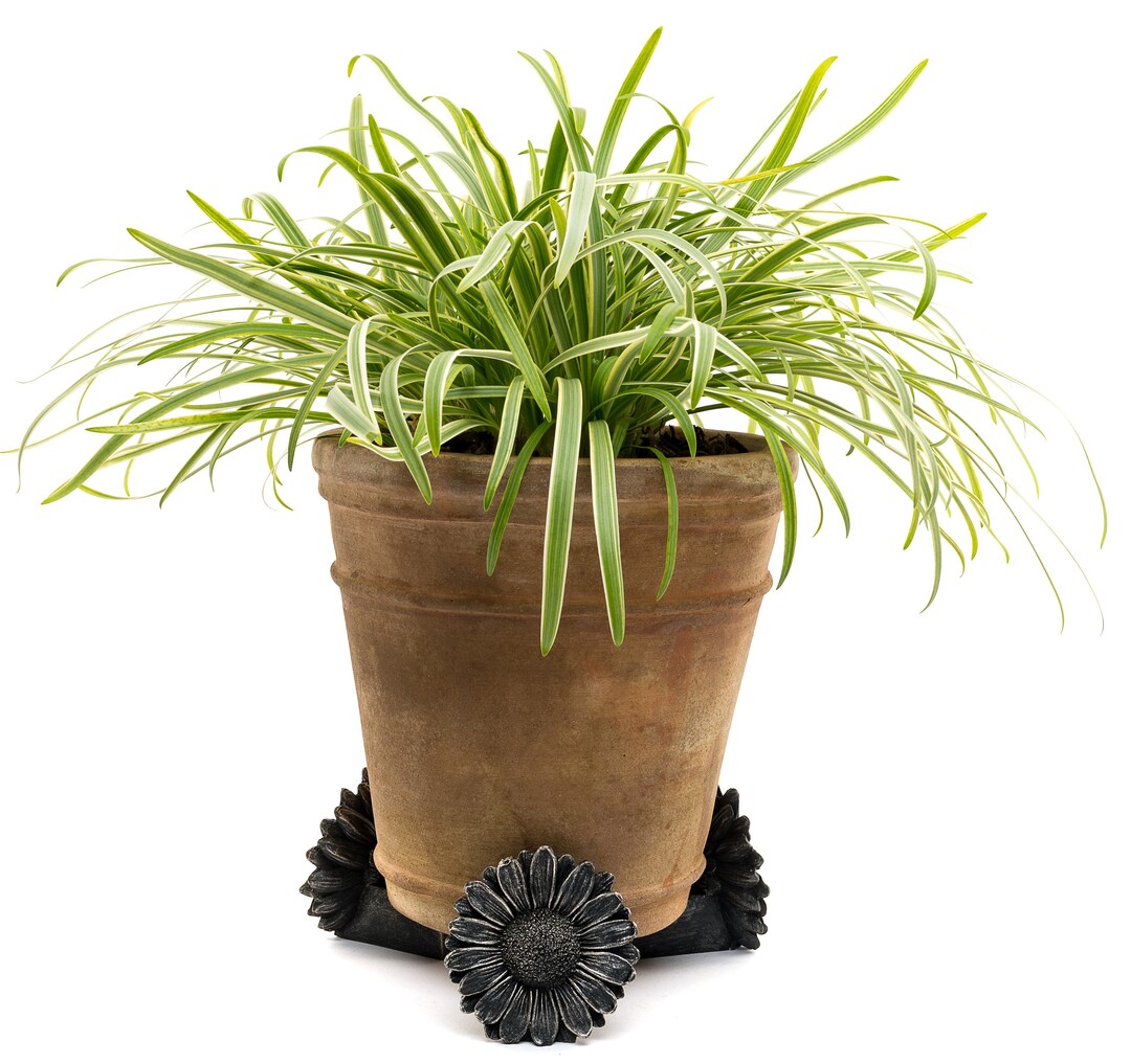 Bronze Coloured, Daisy, Potty Feet, Set of 3, Plant Pot Stand, Plant ...