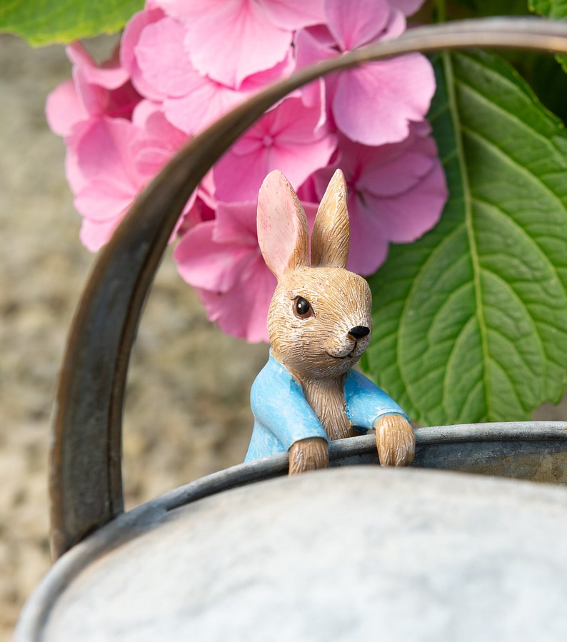 Peter Rabbit, Beatrix Potter, Pot Buddy, Pot Hanger, Gift Boxed ...