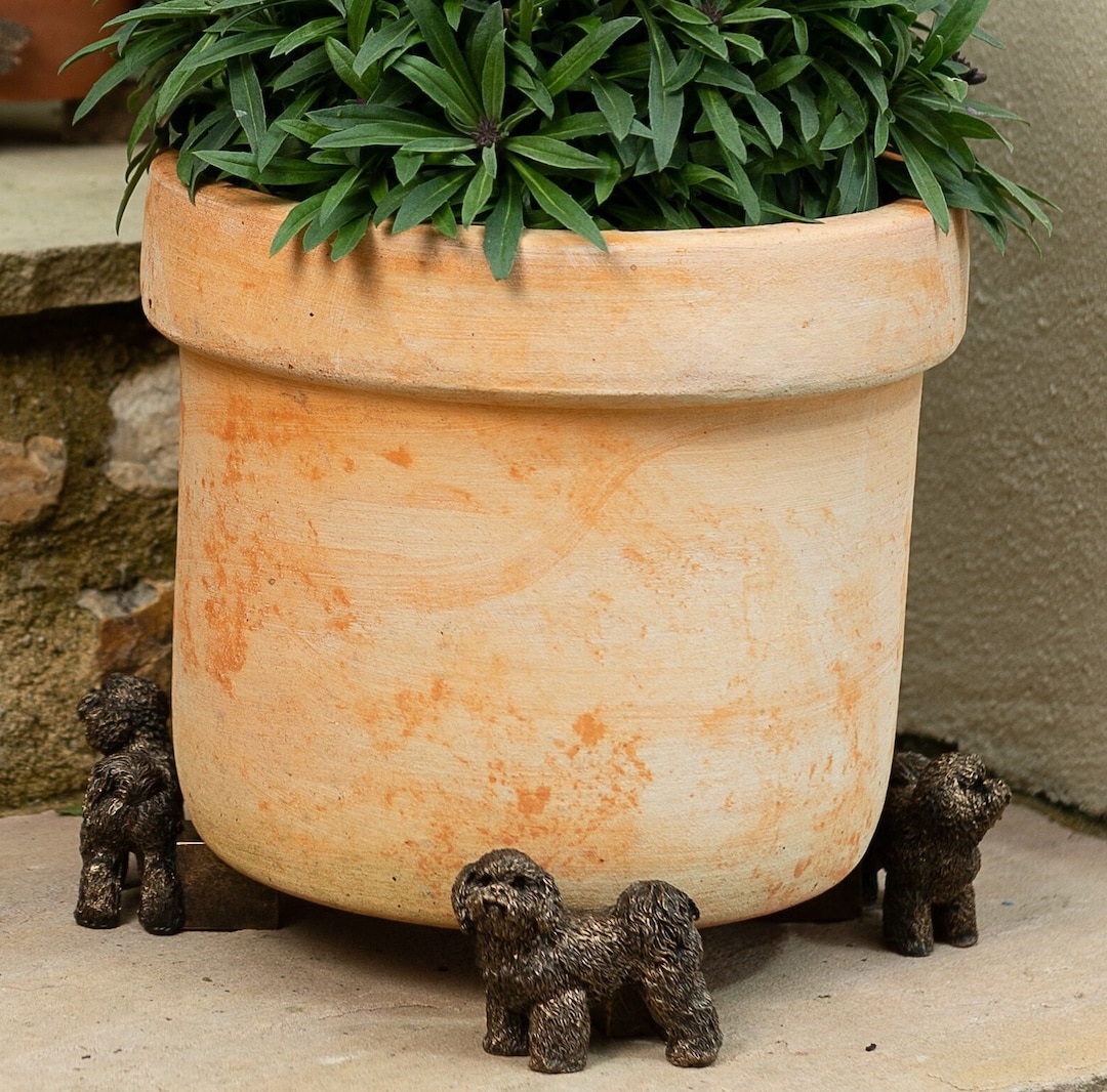 Bichon Frise Plant Pot Feet Set of 3 | Charming Garden Decor - Etsy