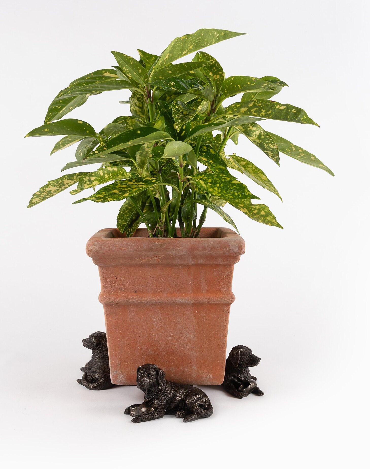 Antique Bronze Labrador Plant Pot Feet - Set of 3 | Crafted Home and ...