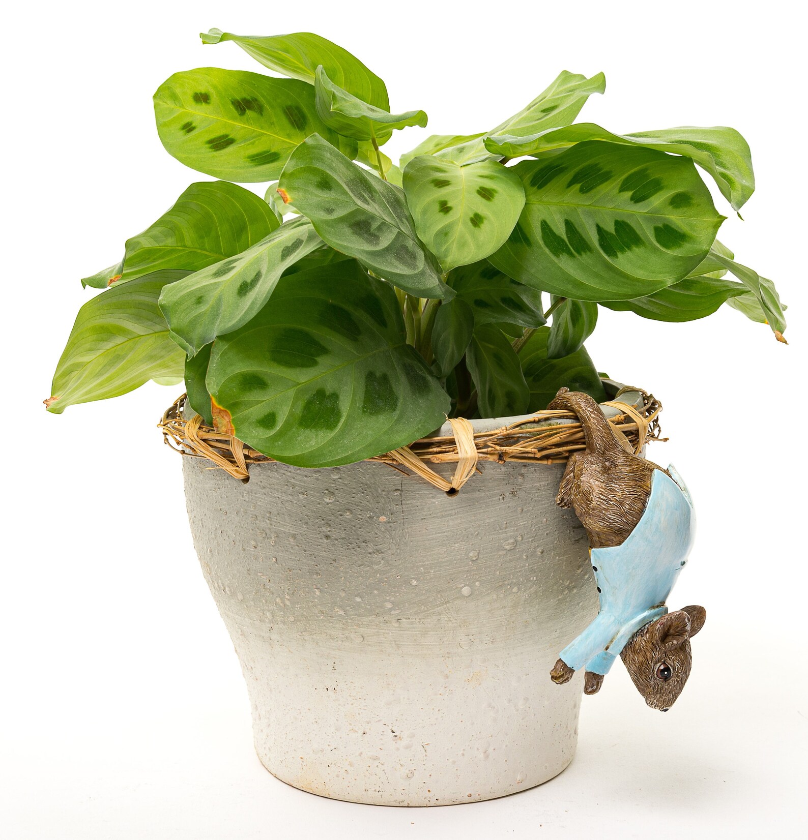 Johnny Town-mouse Pot Buddy: Beatrix Potter Garden Decor - Etsy