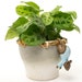 Johnny Town-mouse Pot Buddy: Beatrix Potter Garden Decor - Etsy