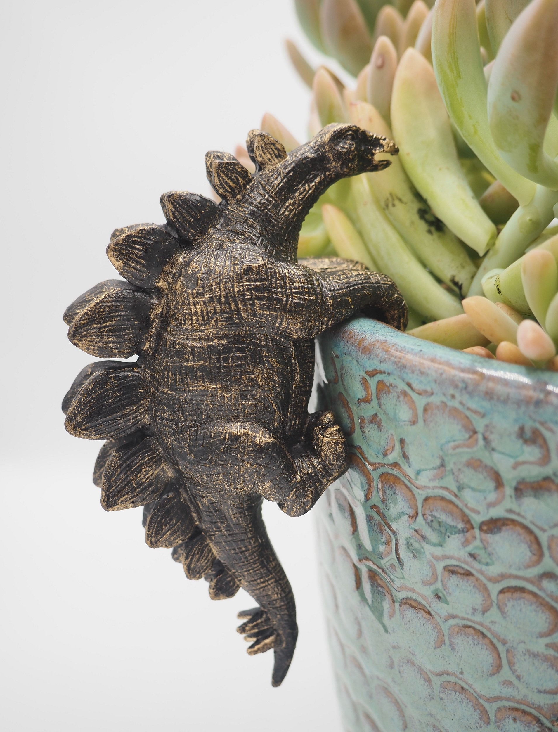 Dinosaur Pot Buddies Set | T-rex Stegosaurus Brachiosaurus | Garden ...