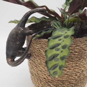 Brachiosaurus Pot Buddy | Home & Garden Dinosaur Decor | British Design ...