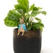 Peter Rabbit Pot Buddy Pot Hanger Beatrix Potter Gift Boxed Pot Buddies ...