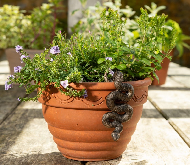 Bronze Snake Pot Buddy | Boa Constrictor Garden Decor | British Design ...