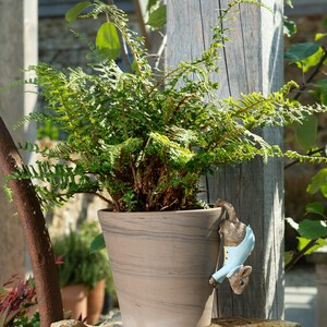 Johnny Town-mouse Pot Buddy: Beatrix Potter Garden Decor - Etsy