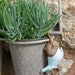 Johnny Town-mouse Pot Buddy: Beatrix Potter Garden Decor - Etsy