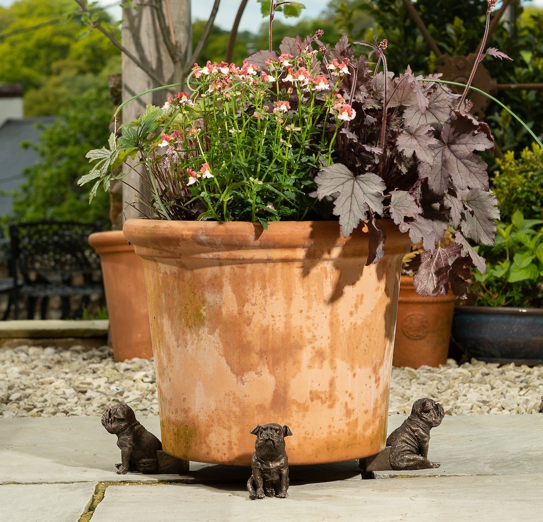Bronze, English Bulldog, Potty Feet, Set of 3, Plant Pot Stand, Antique ...