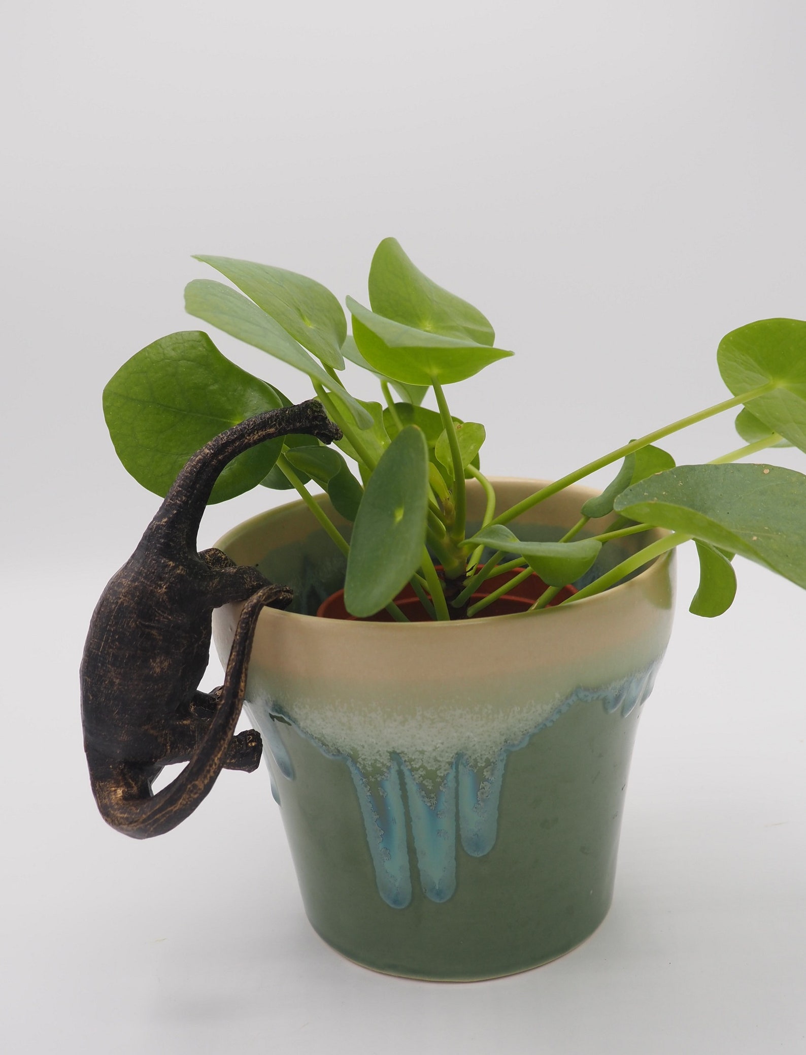 Brachiosaurus Pot Buddy | Home & Garden Dinosaur Decor | British Design ...