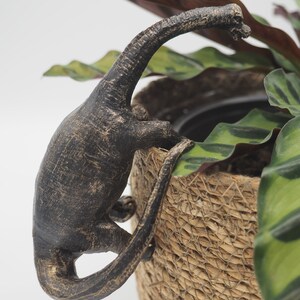 Brachiosaurus Pot Buddy | Home & Garden Dinosaur Decor | British Design ...