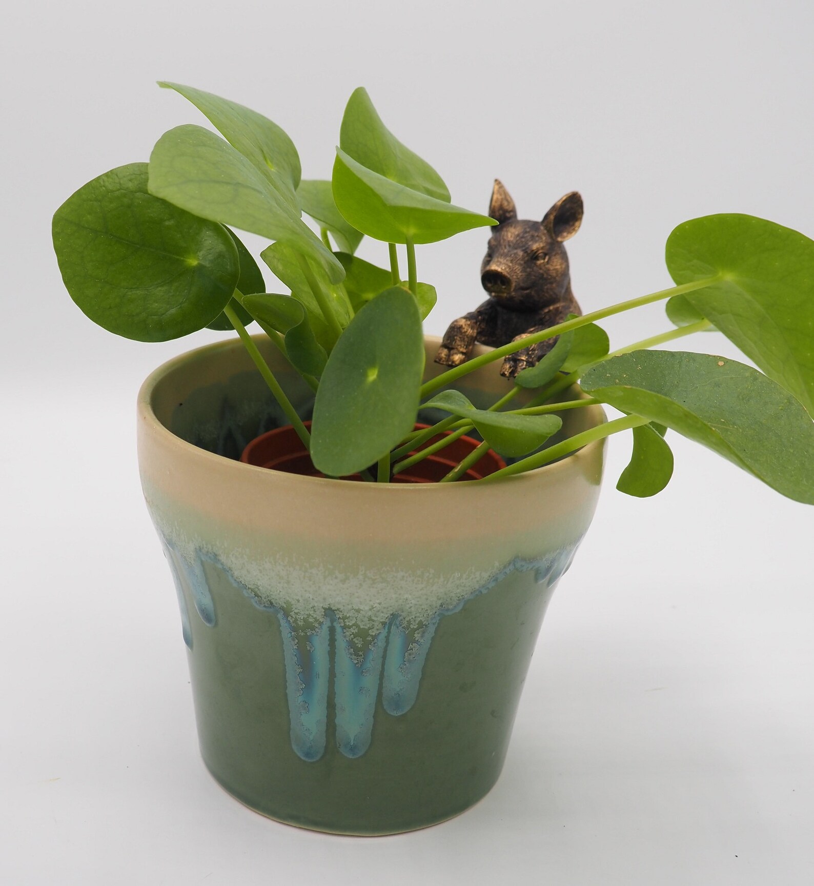 Pig Pot Buddies Plant Hanger - Etsy