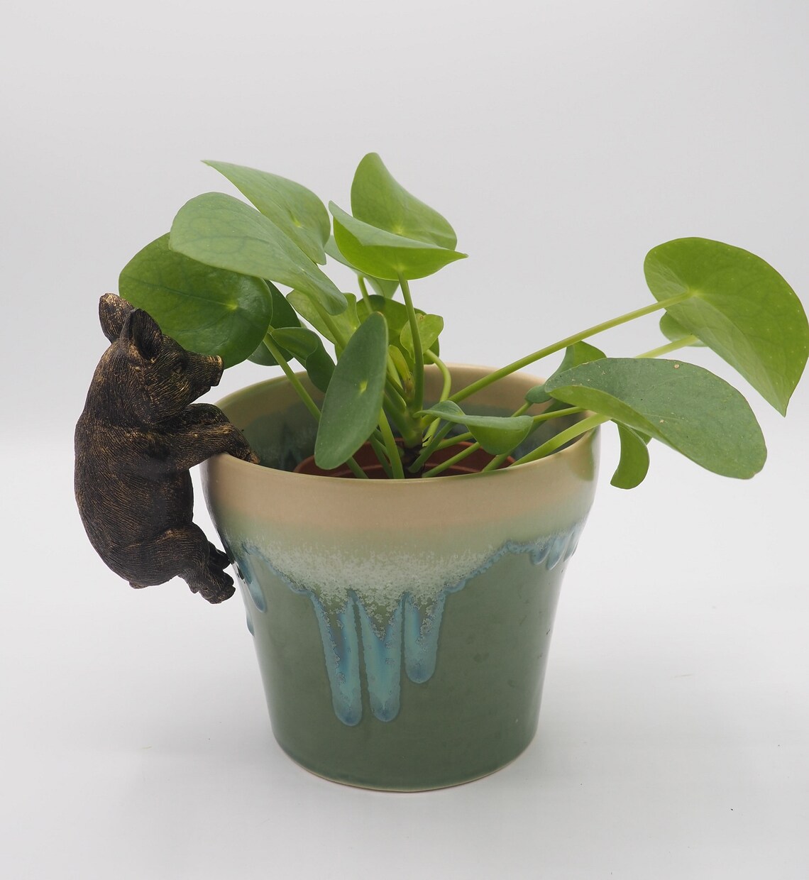 Pig Pot Buddies Plant Hanger - Etsy