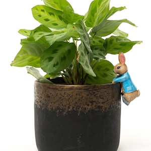 Peter Rabbit, Beatrix Potter, Pot Buddy, Pot Hanger, Gift Boxed ...