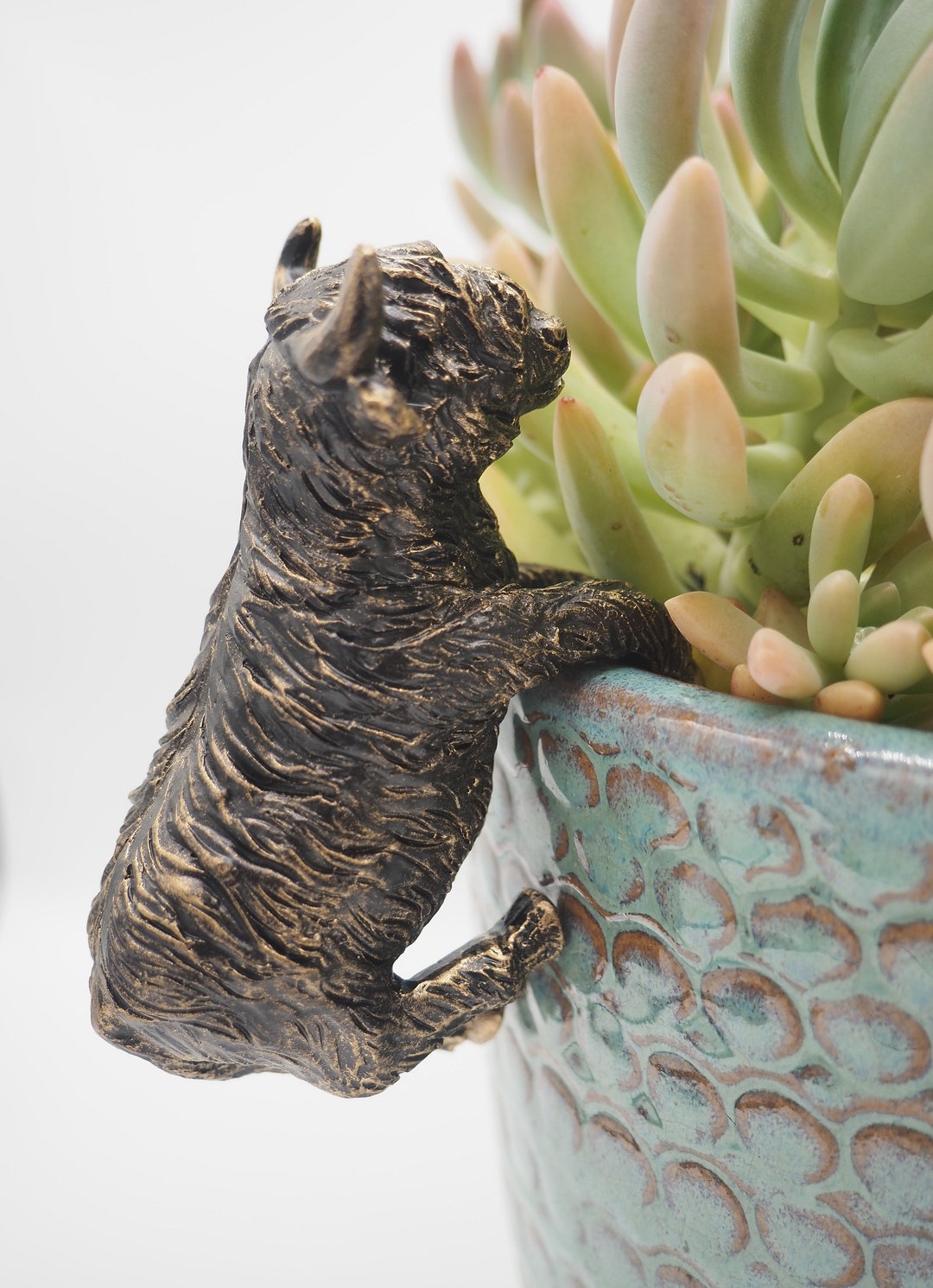 Highland Cow Pot Buddies Plant Hanger - Etsy