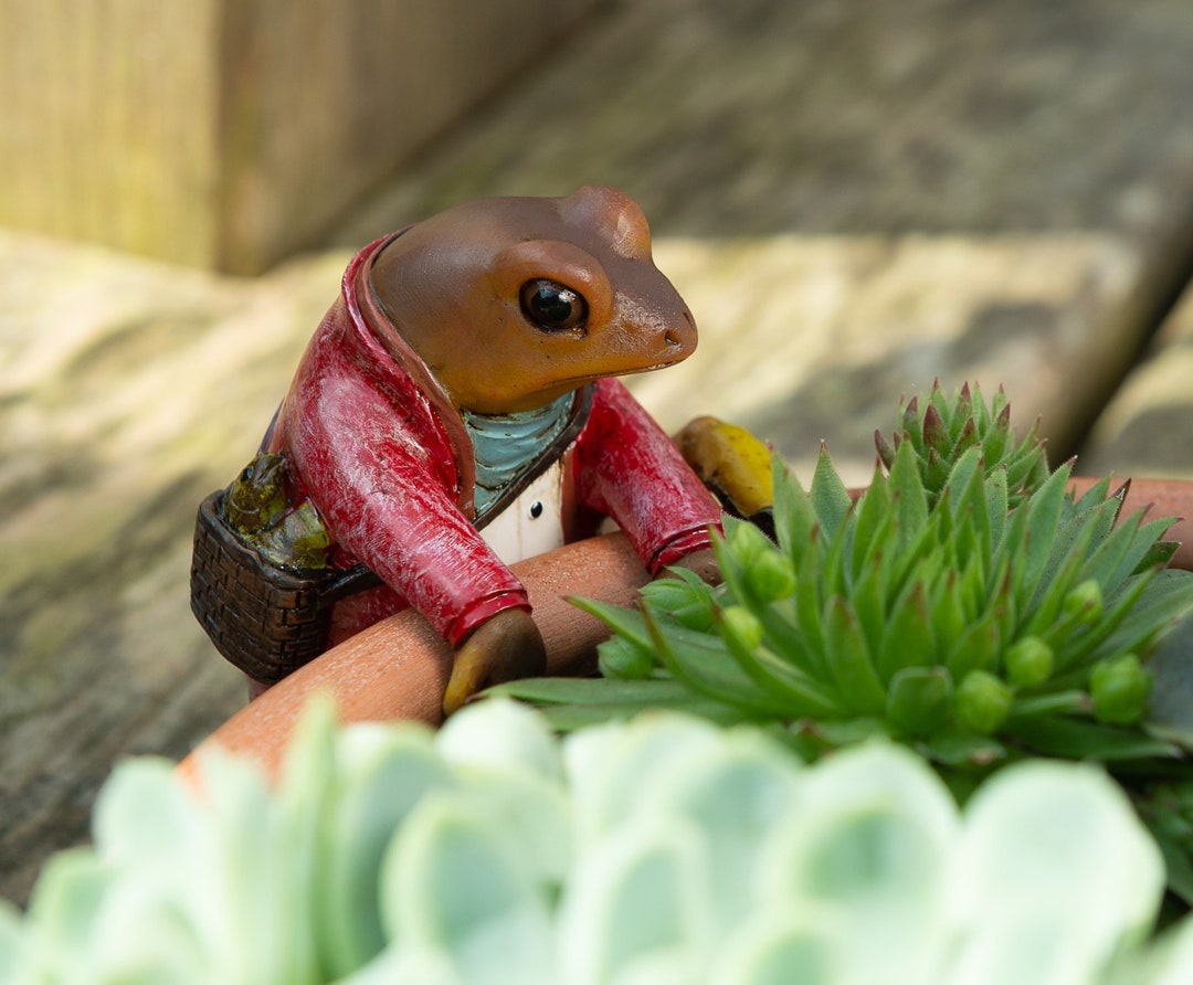 Mr. Jeremy Fisher Pot Buddy: Beatrix Potter Garden Decor - Etsy
