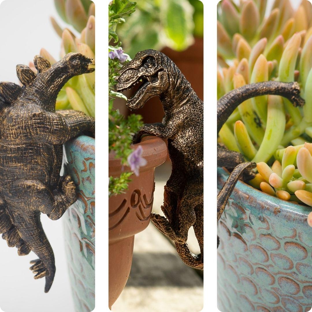 Dinosaur Pot Buddies Set | T-rex Stegosaurus Brachiosaurus | Garden ...