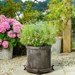Frog Potty Feet & Pot Buddy Bundle: Antique Style Plant Pot Stand - Etsy