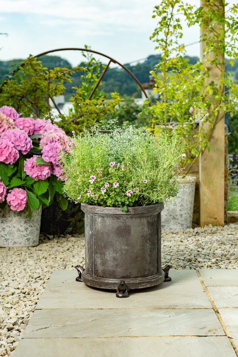 Frog Potty Feet & Pot Buddy Bundle: Antique Style Plant Pot Stand - Etsy