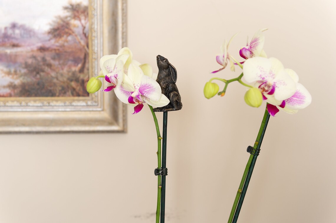 Cane Companion Cane Toppers Antique Bronze Coloured | Etsy