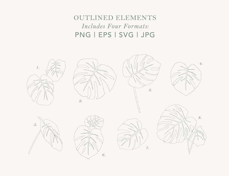 Monstera Leaf Clip Art - EPS Hand Drawn Botanical Line Art- SVG Circuit ...