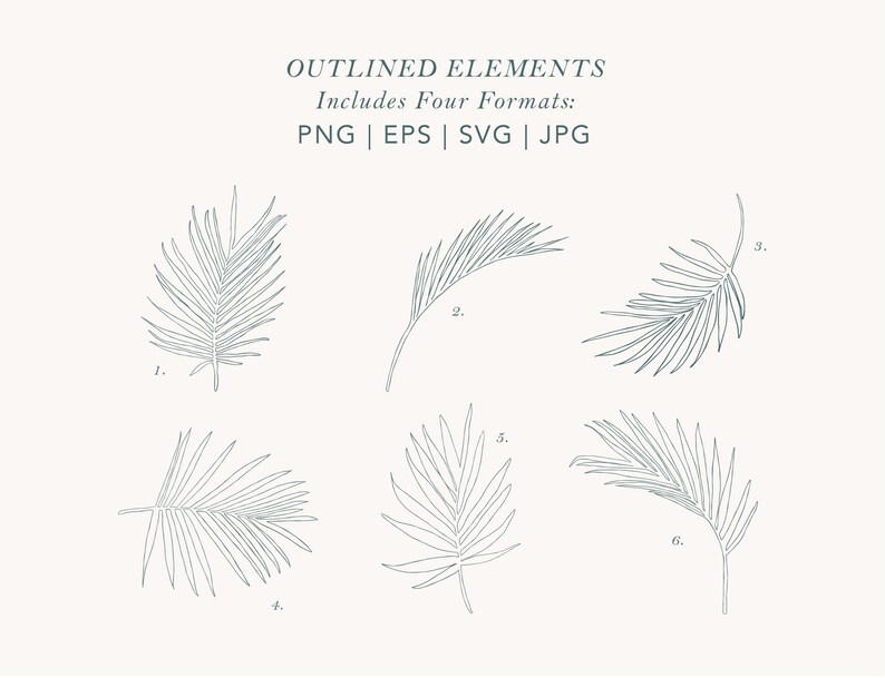 Palm Frond Clip Art EPS Hand Drawn Botanical Line Art SVG - Etsy
