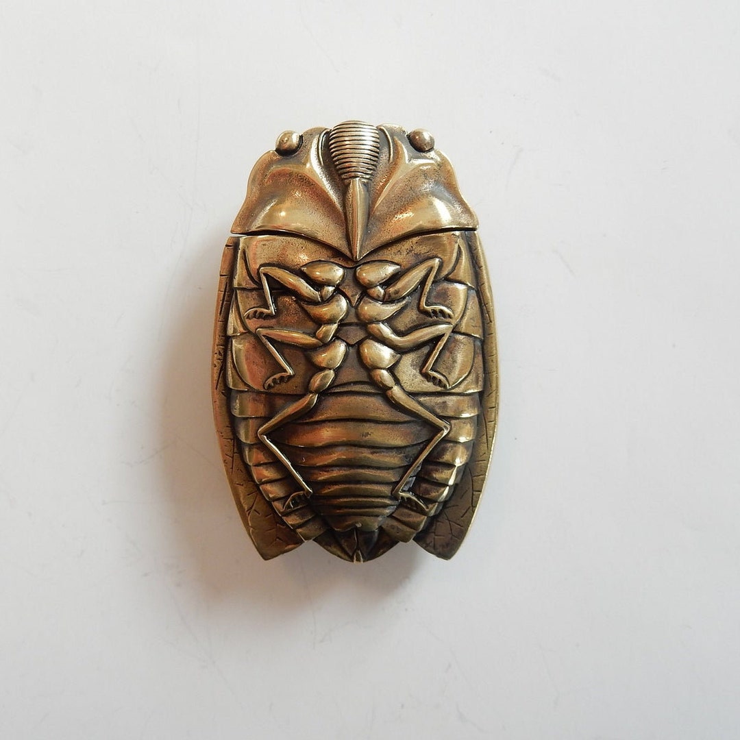Brass Scarab Beetle Scorpion Vesta Match Safe - Etsy