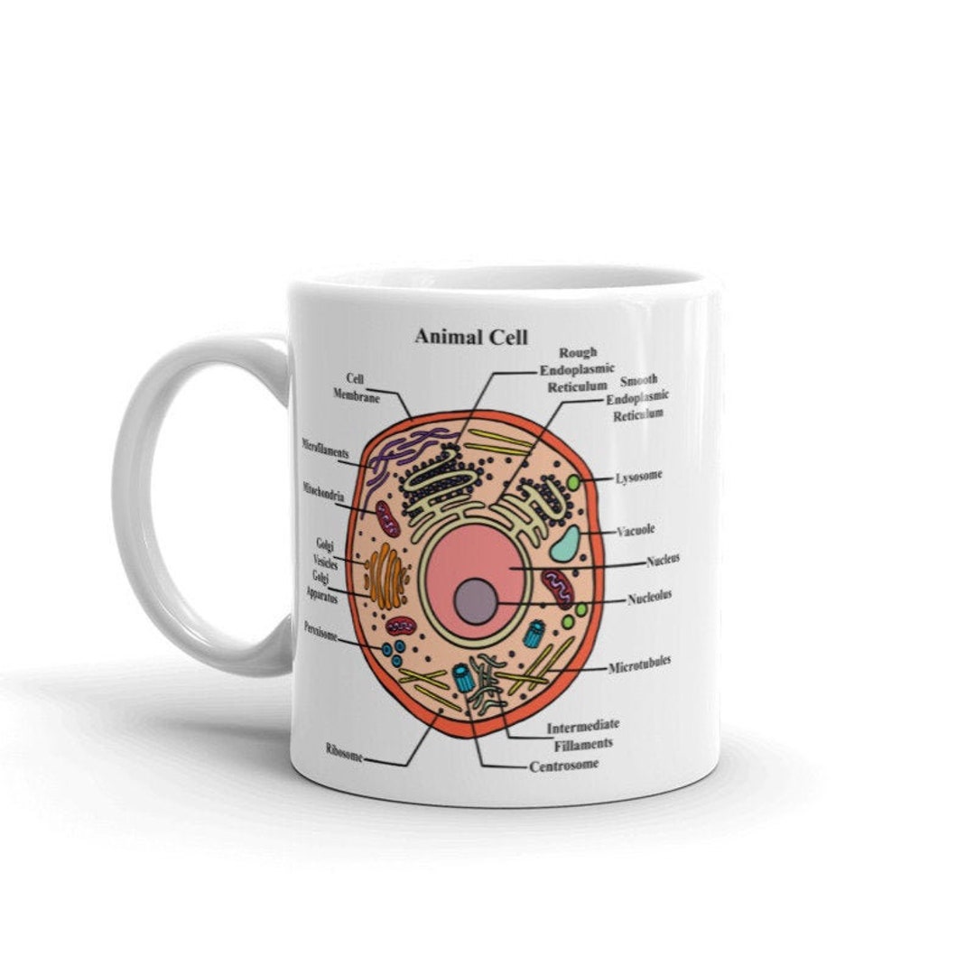 Plant and Animal Cell Mug, Biology Gifts, Microbiology, Graduation Gift ...
