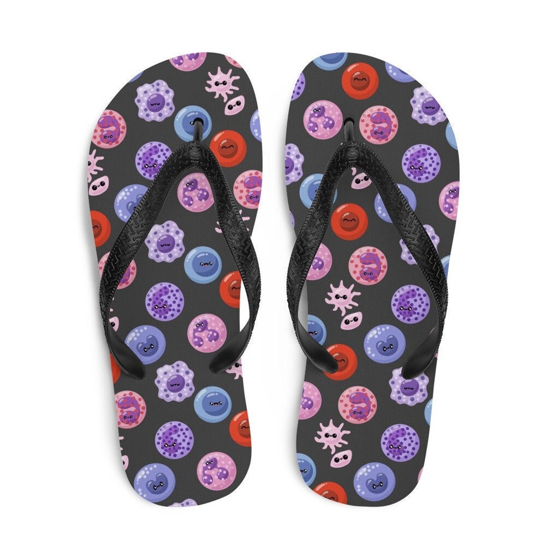 Types of Blood Cells Flip-flops, Science Teacher, Haematology Gifts ...