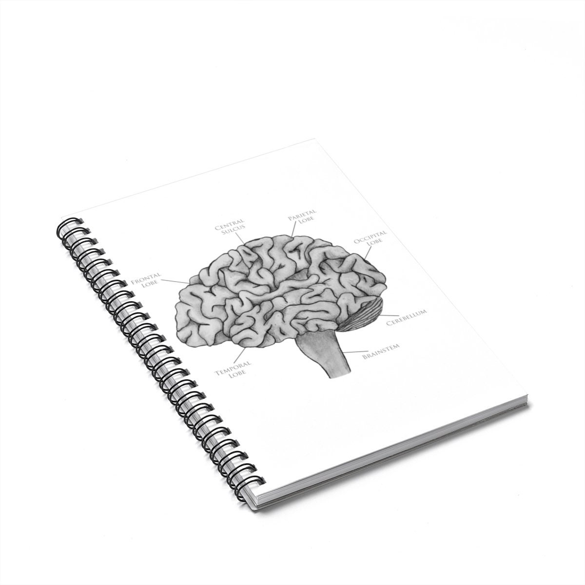 Labeled Brain Spiral Notebook, Neuroscience, Neuron, Science, Neurology ...