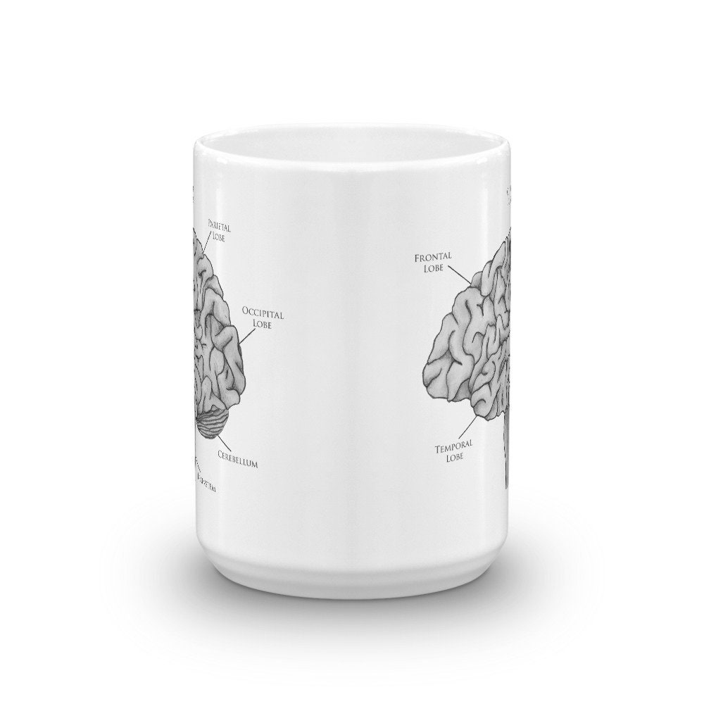 Labeled Brain Mug, Neuroscience, Scientific Illustration, Future Doctor ...