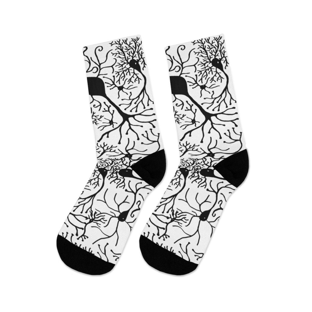 Whimsical Neuron Socks, Neuroscience, Neurology Gifts, Funny Graduation ...