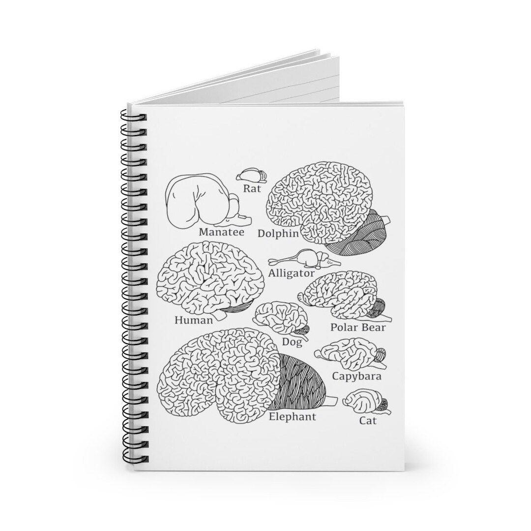 Types of Brains Spiral Notebook - Ruled Line, Neuroscience, Graduation ...