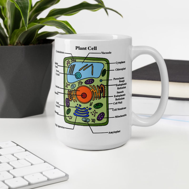 Plant and Animal Cell Mug, Biology Gifts, Microbiology, Graduation Gift ...