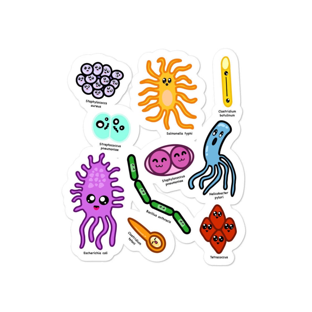 Types of Bacteria Kiss Cut Sticker, Microbiology, Biology Gifts ...
