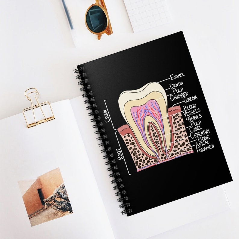 Tooth Diagram Spiral Notebook, Dental Student Gift - Etsy