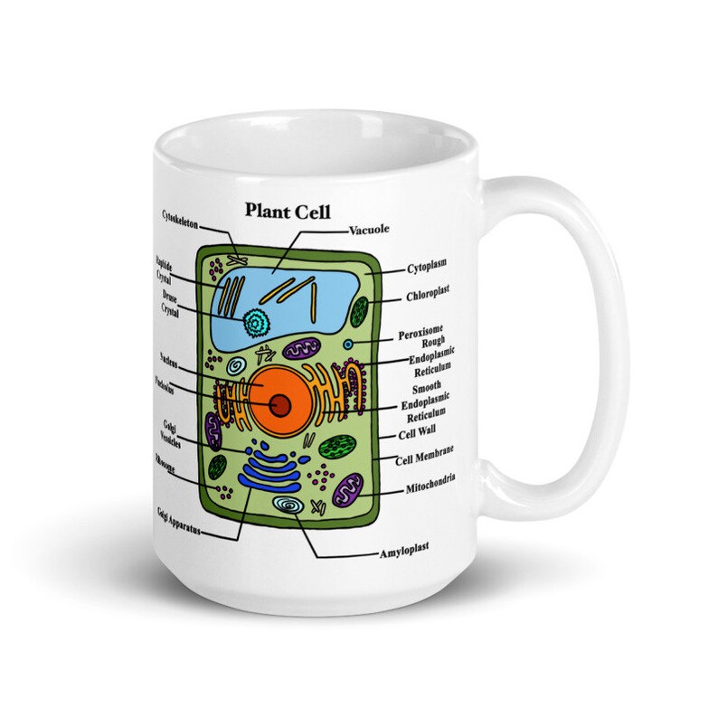 Plant and Animal Cell Mug, Biology Gifts, Microbiology, Graduation Gift ...