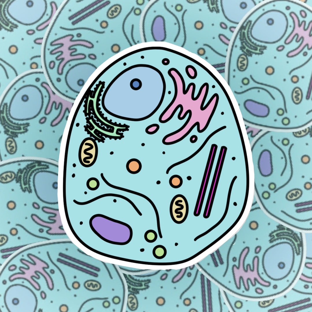 Cute Animal Cell Kiss Cut Sticker, Biology Nerd, Graduation Gift ...