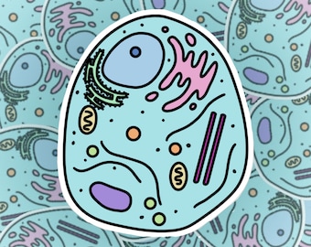 Animal Cell Sticker - Etsy