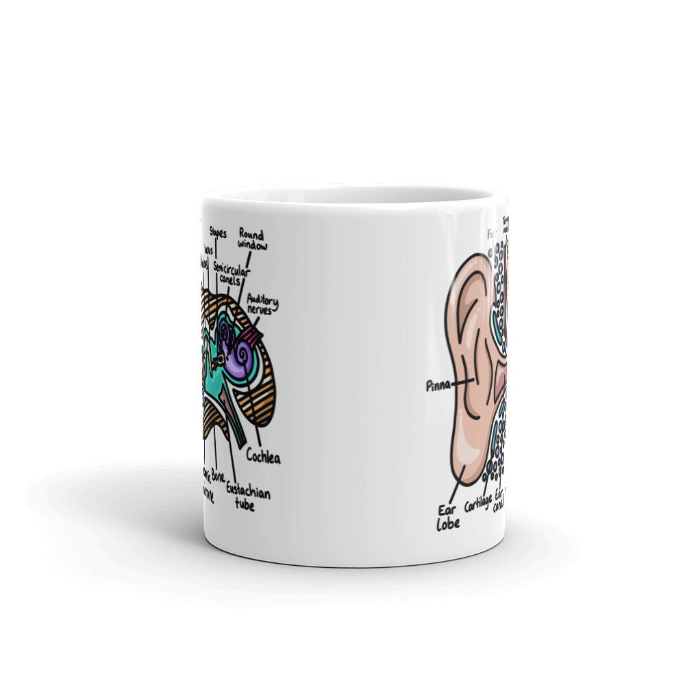 Inner Ear Diagram Mug, Auditory, Audiology Mugs, Graduation Gift ...