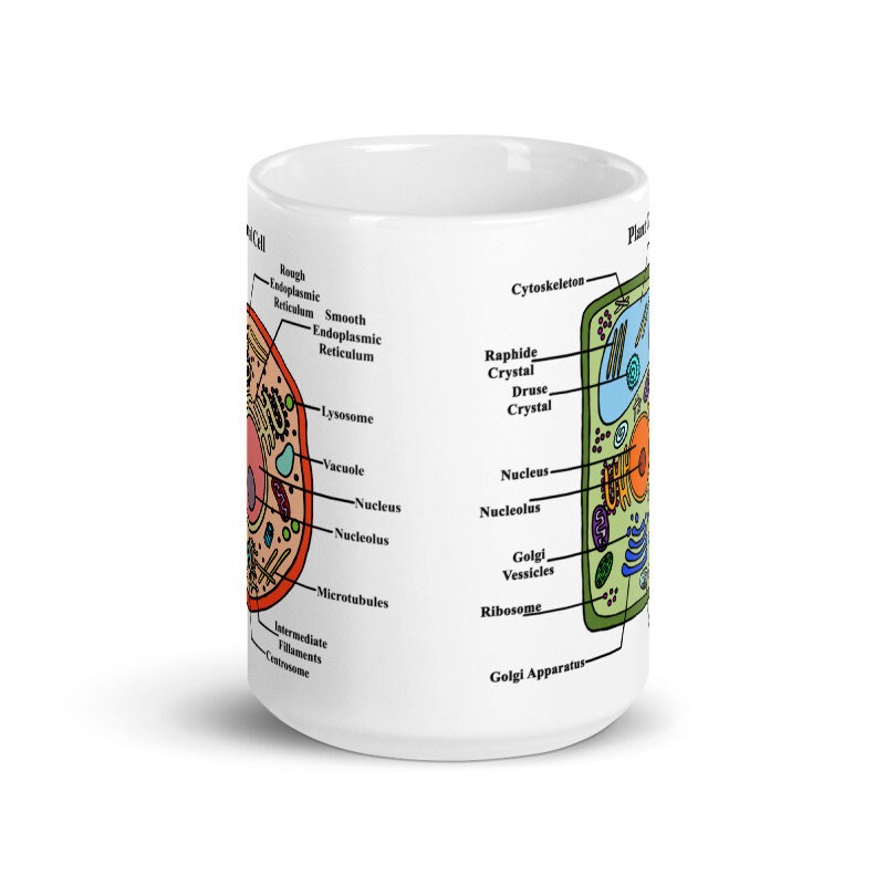 Plant and Animal Cell Mug, Biology Gifts, Microbiology, Graduation Gift ...