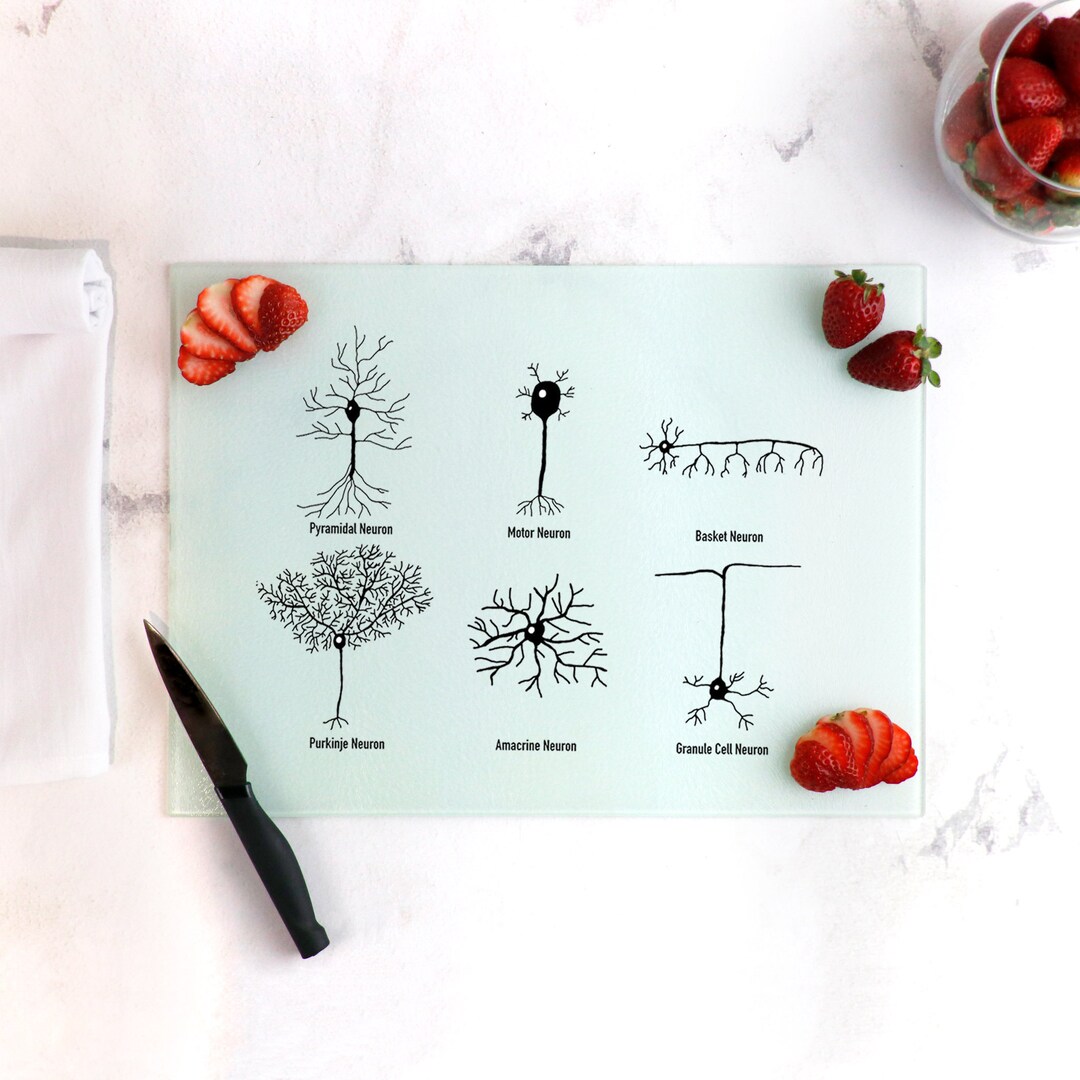 Types of Neurons Glass Cutting Board, Science Gift - Etsy