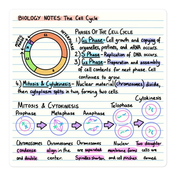 Cut Cell Growth