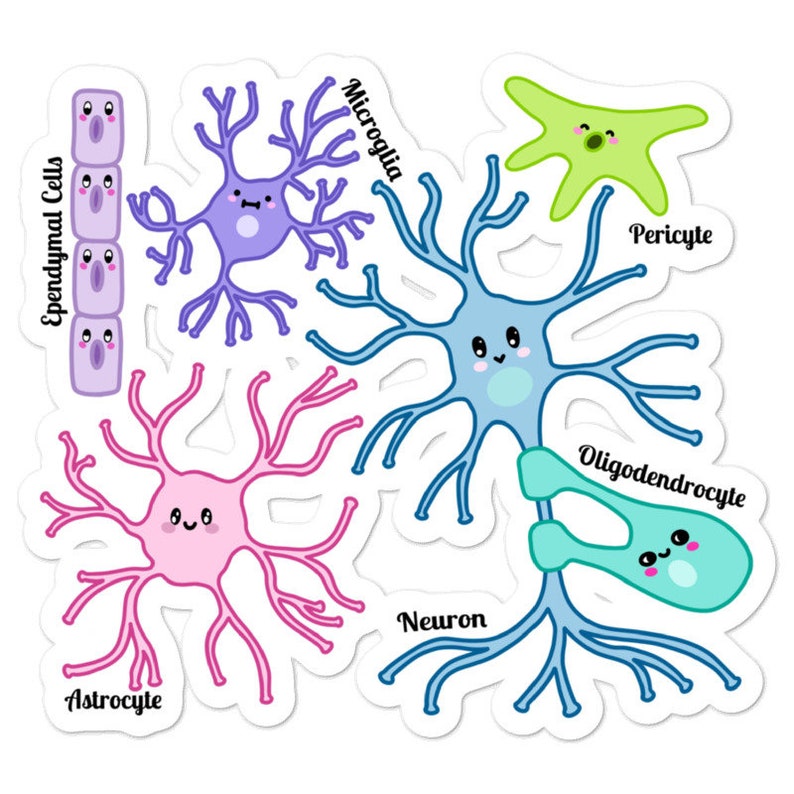 Kawaii Brain Cells Kiss Cut Sticker, Neuroscience, Neurology Gift ...