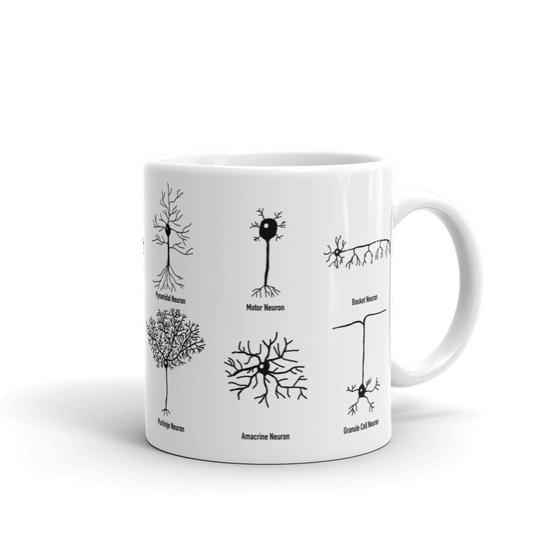 Neuron Types Mug, Neuroscience, Brain, Mug Life, Science Mug, Geeky Mug ...