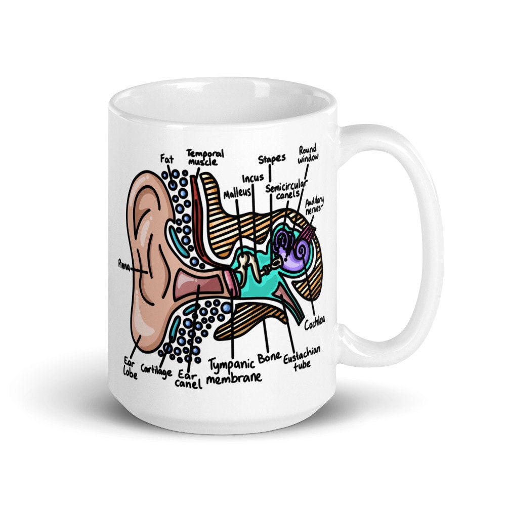 Inner Ear Diagram Mug, Auditory, Audiology Mugs, Graduation Gift ...