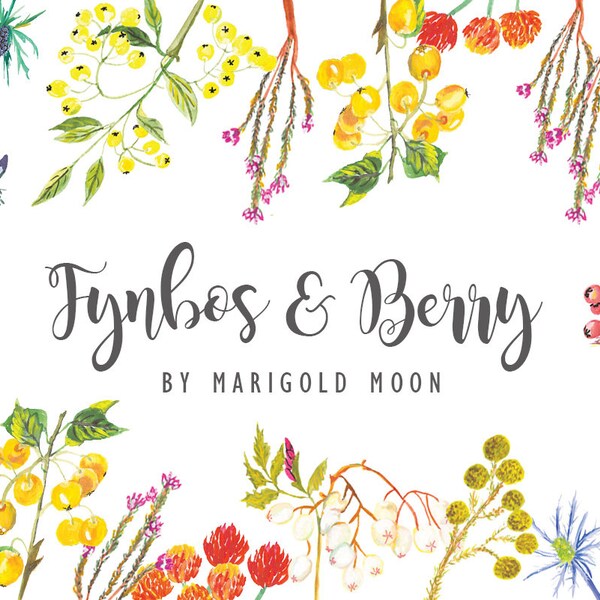 Fynbos - Etsy