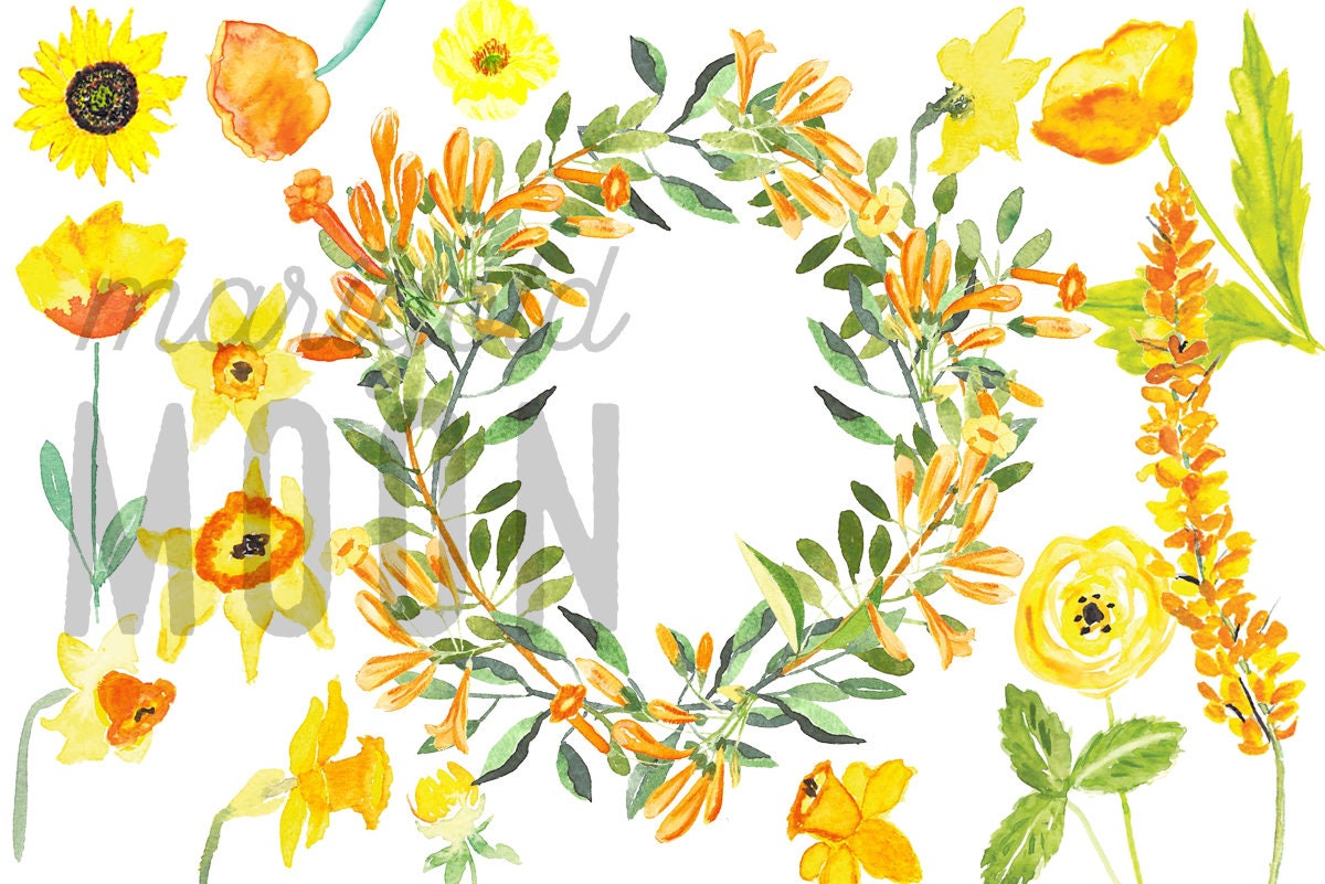 Watercolor Flowers Digital Clipart Yellow Orange and Red - Etsy