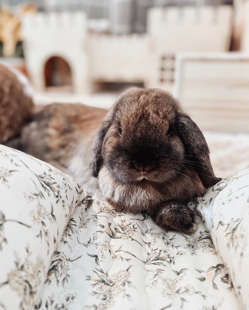 Flop Bed for Rabbits Small Pets Cats Next Day Shipping - Etsy